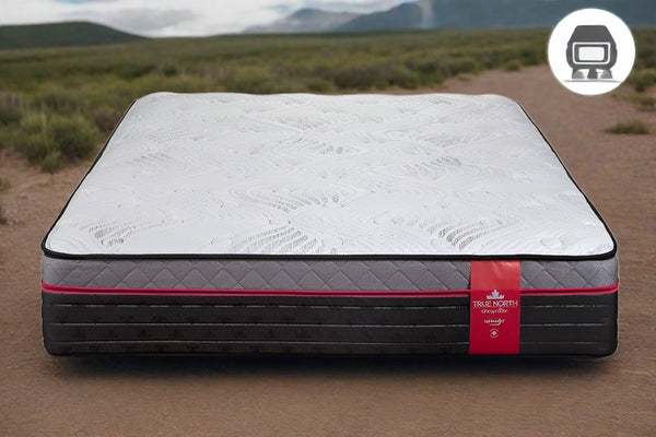 Springwall Chiropractic Bruce 11" Pocket Coil Euro Top Medium Firm ...